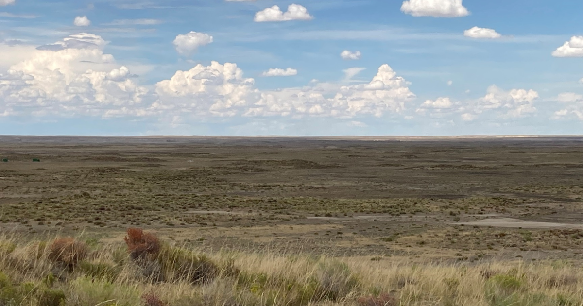 BLM extends comment period for proposed carbon dioxide sequestration project in Wyoming | Bureau ...